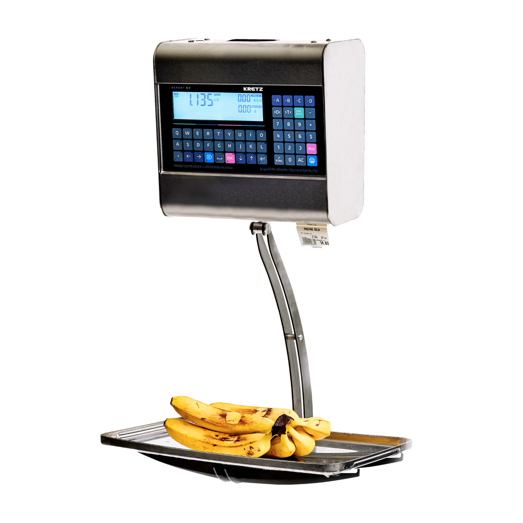 Report NX Hanging Scale TCP | KRETZ Argentina